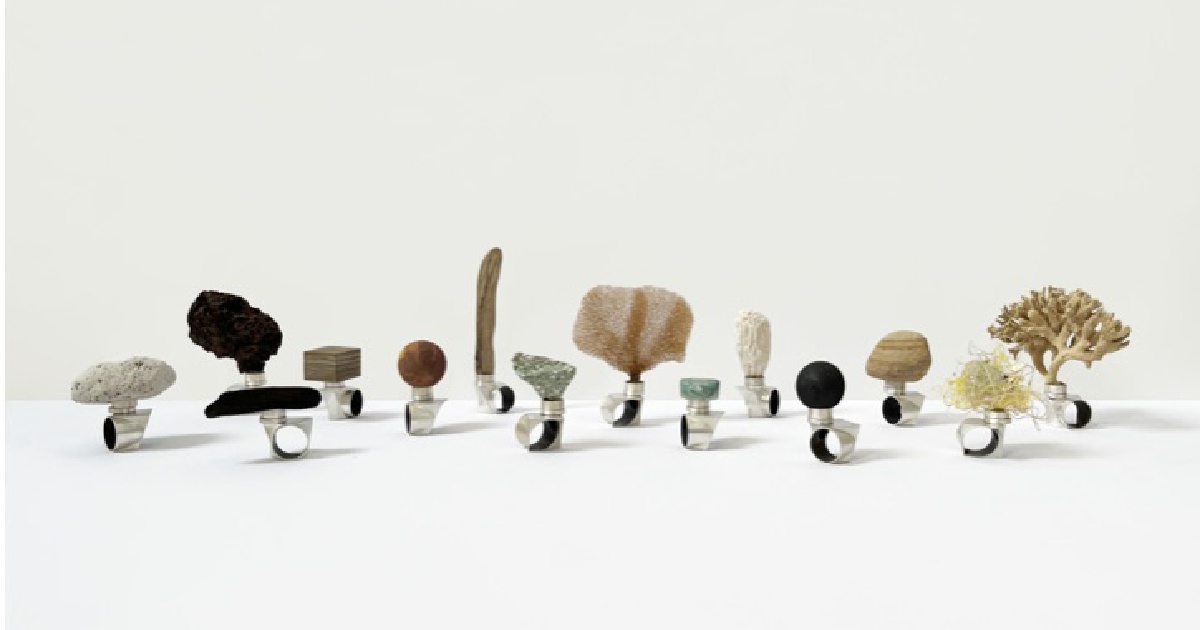 Finalist: Waterhouse Natural Science Art Prize | GALLERY SALLY DAN-CUTHBERT